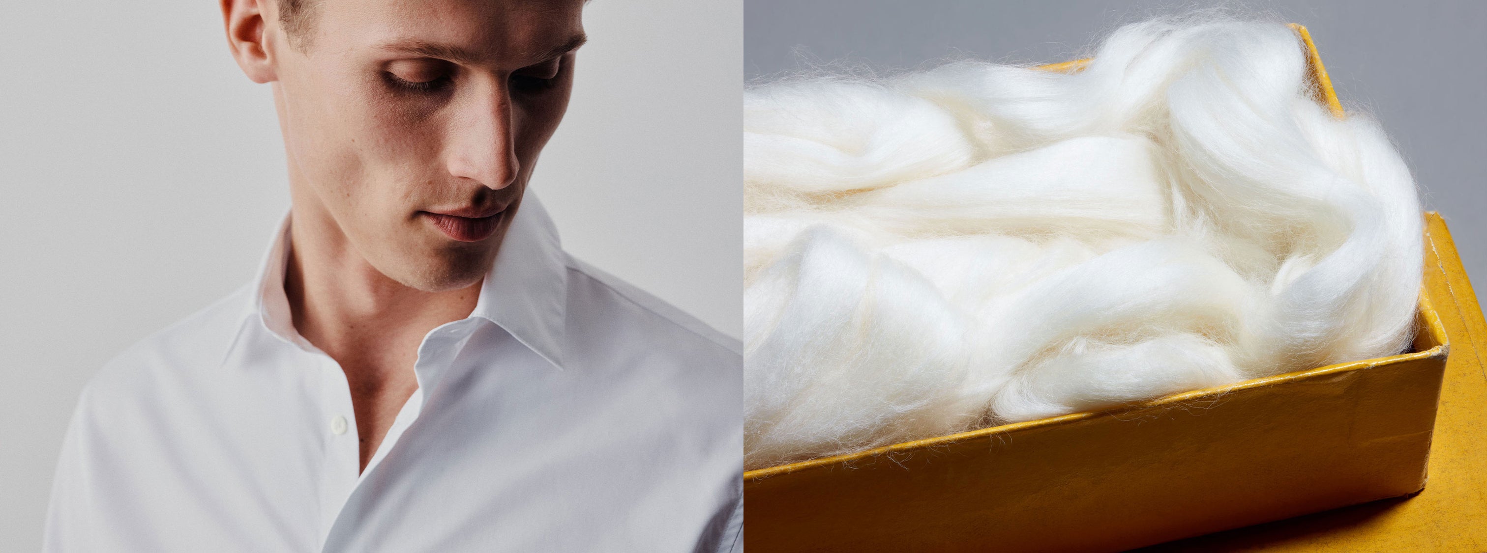 Sea Island Cotton | Sunspel